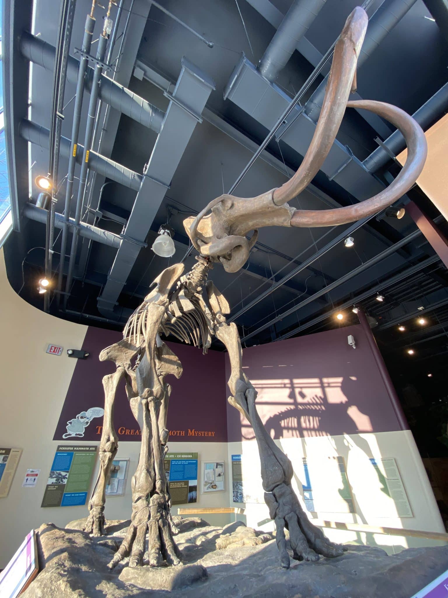 Mammoths at the Museum | Kenosha Public Museum