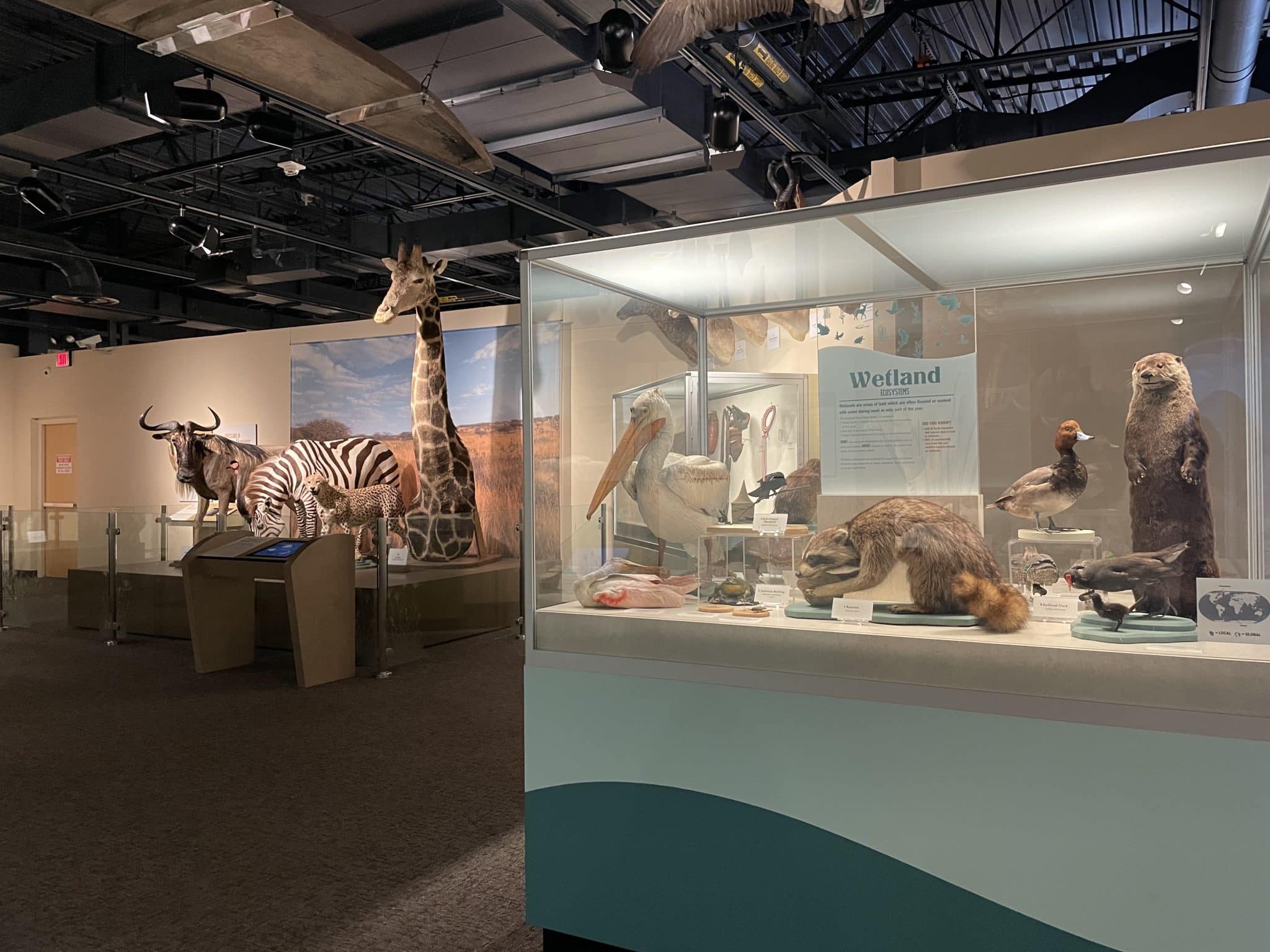 From Curiosity To Science | Kenosha Public Museum